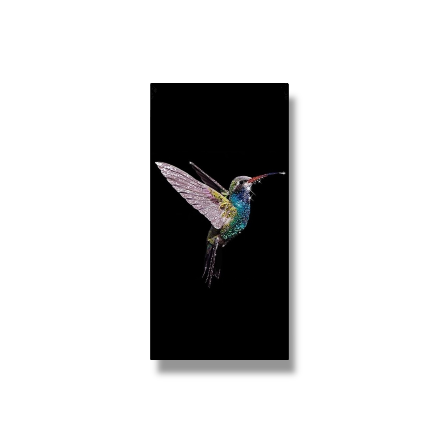 Humming Bird Acrylic wall Art – Hollywood Interiors