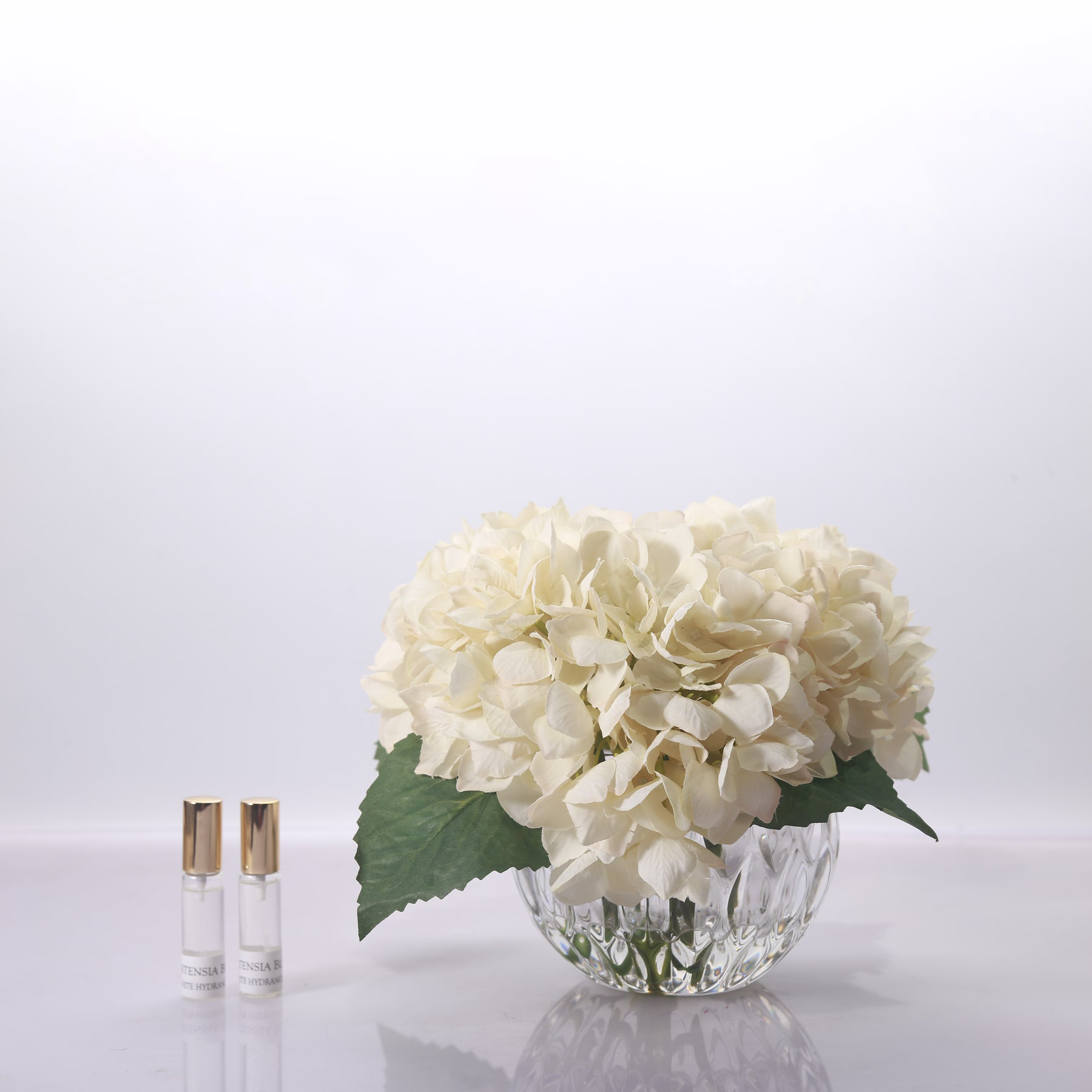 Hydrangeas Champagne Luxury Collection – Hollywood Interiors
